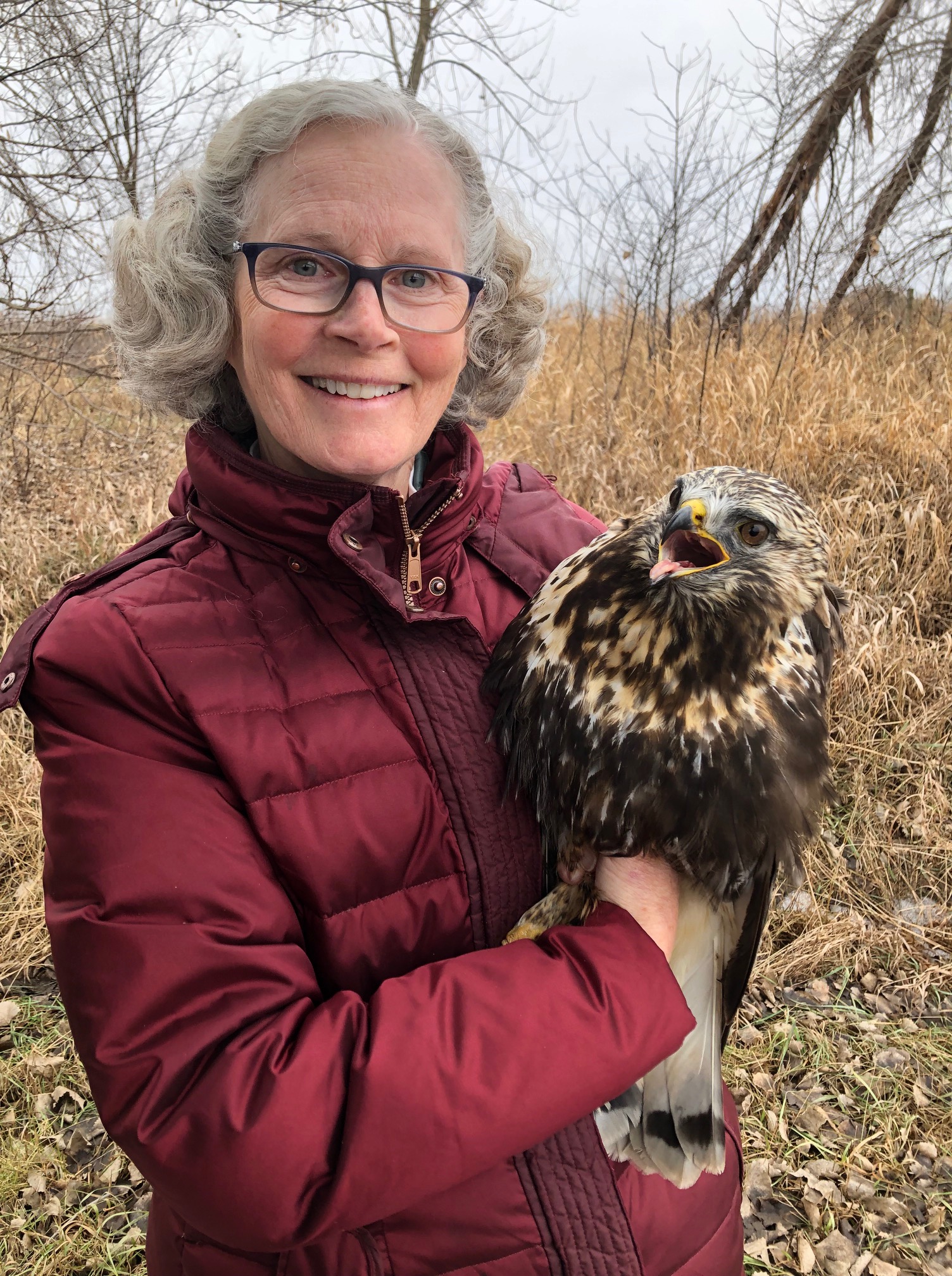 Board of Directors – Cedar Grove Ornithological Research Station