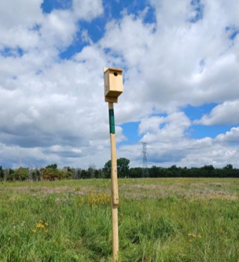 Eastern Wisconsin Kestrel Project – Cedar Grove Ornithological Research ...